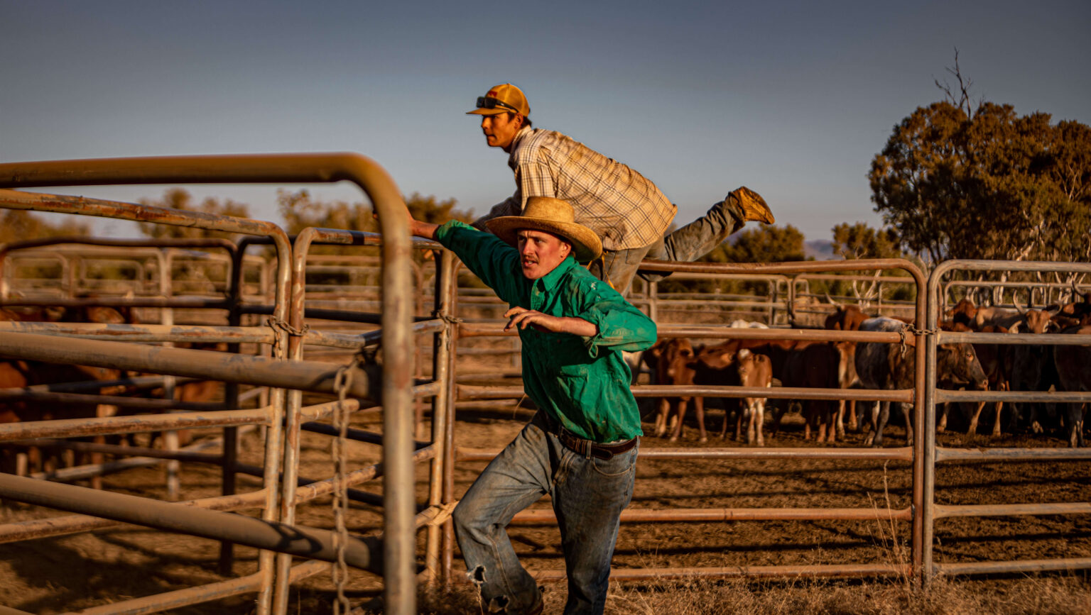 Mount House Station | Our Businesses | Pearl Coast Pastoral