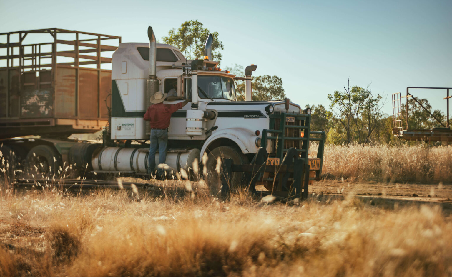 Mount House Station | Our Businesses | Pearl Coast Pastoral